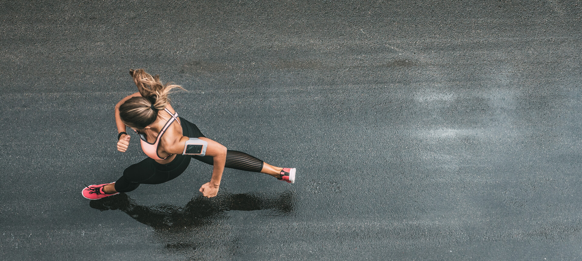 ACSEP — Bright Labs